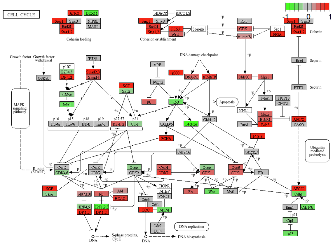 14 Metabolomics and Pathway Analysis – BIFX 504: Advanced Molecular Biology for Bioinformatics